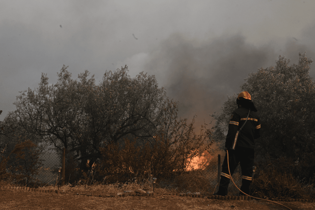 Φωτιές: Το μέτωπο της Ροδόπης - Εικόνα σε Μάνη και Όλυμπο - fyi.news