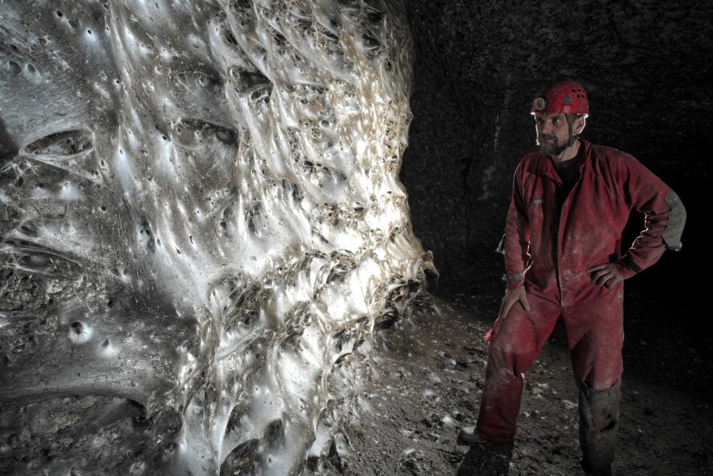 Largest spider web in the world discovered on the Greek-Albanian border ...